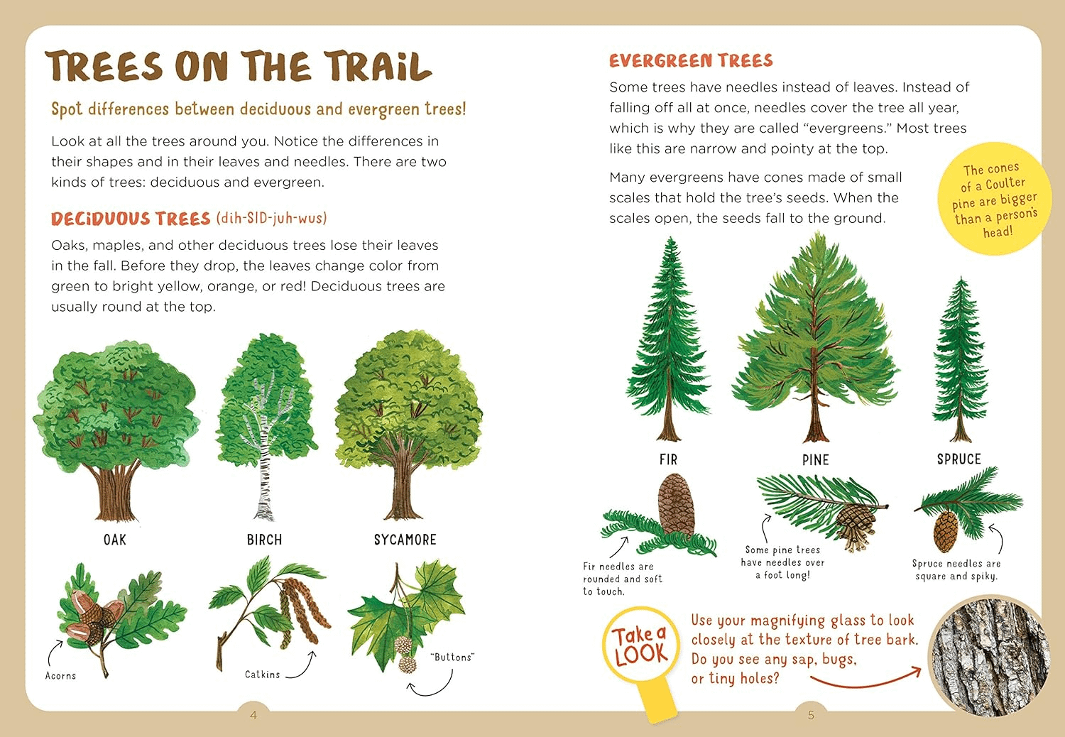 Nature-Based Scavenger Hunts Enhance Learning with fun, interactive ...