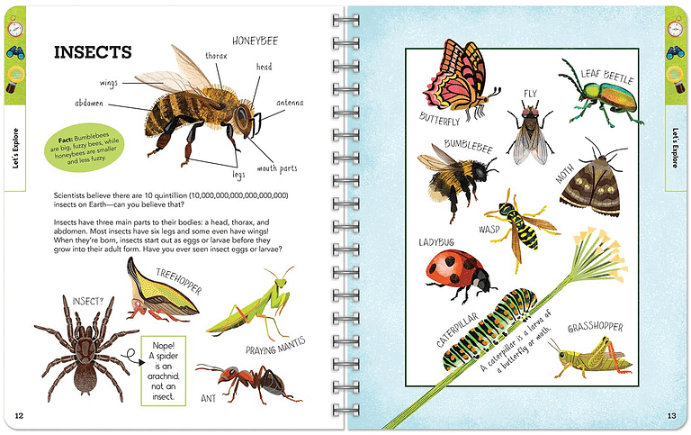 Nature-Based Scavenger Hunts Enhance Learning with fun, interactive ...